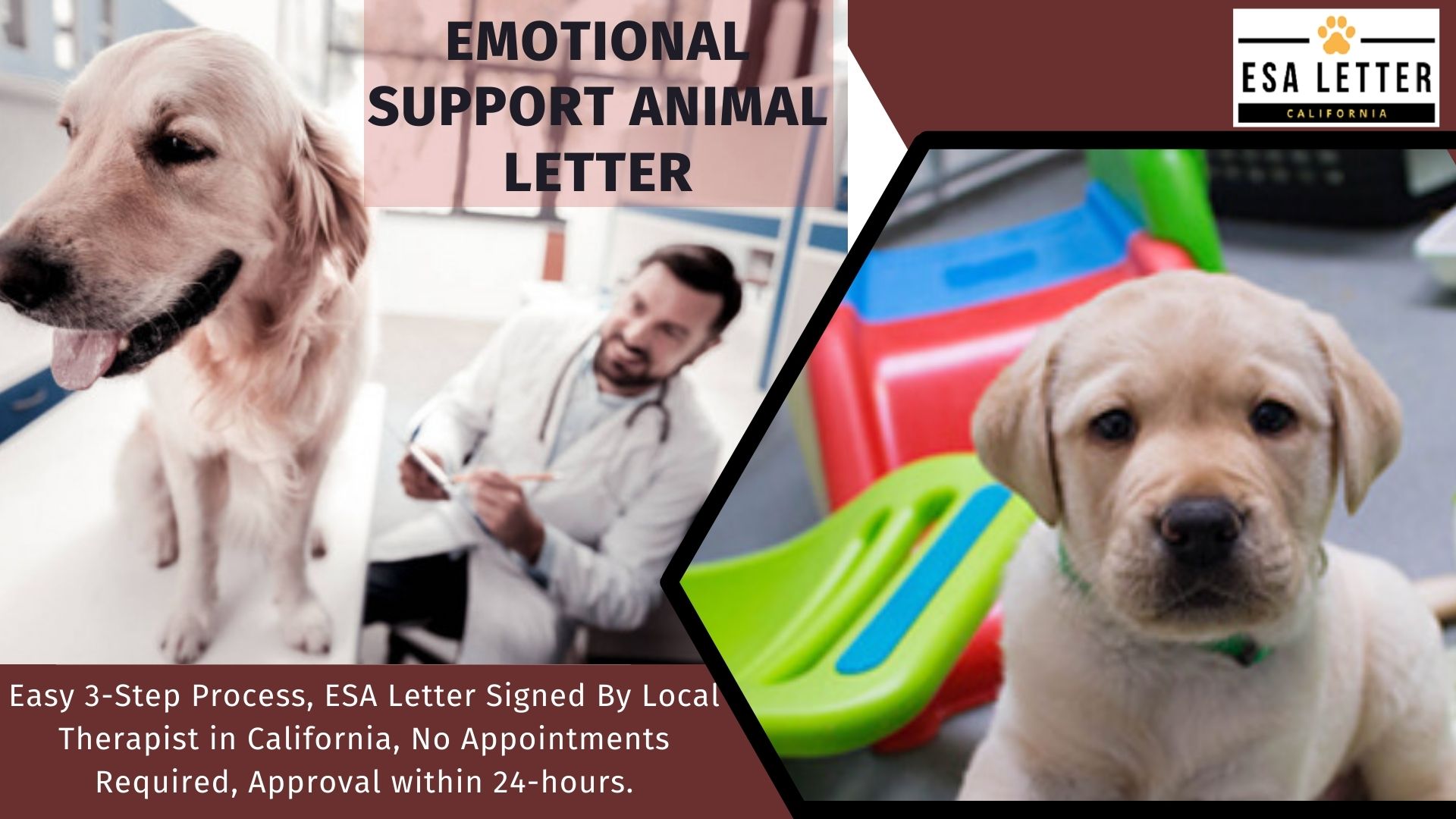 Emotional Support Animal Letter For Housing 